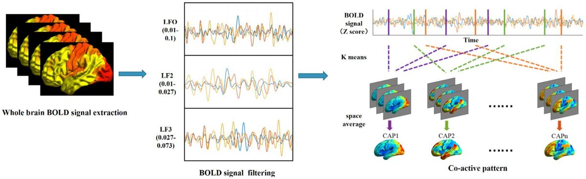 Frontiers | Frequency dependent whole-brain coactivation patterns ...