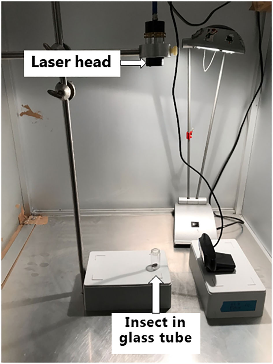 Frontiers | Side-effects of laser weeding: quantifying off-target risks ...