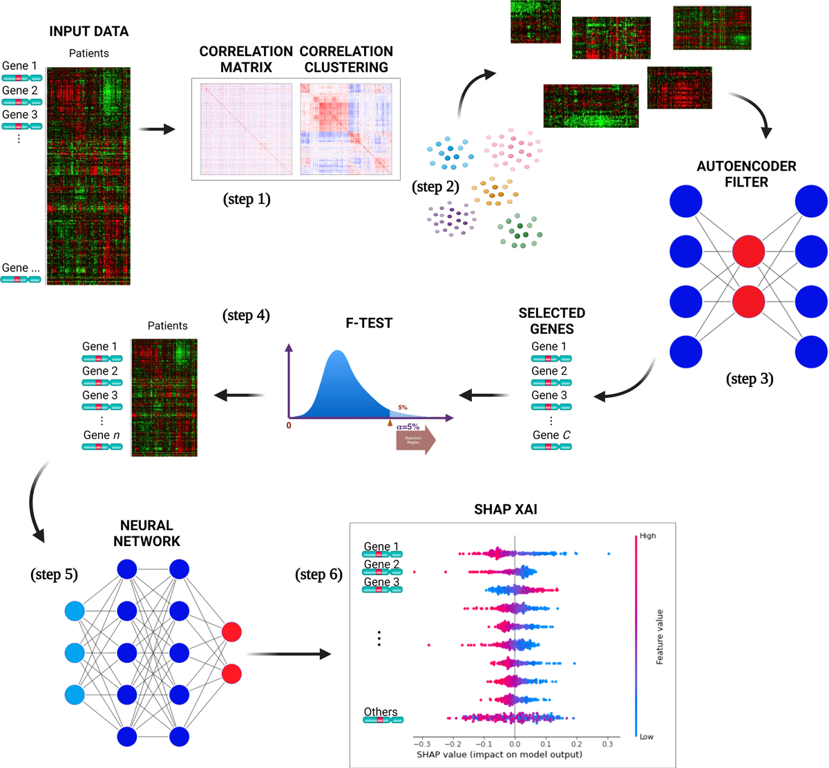 Frontiers | Genes selection using deep learning and explainable artificial intelligence for ...