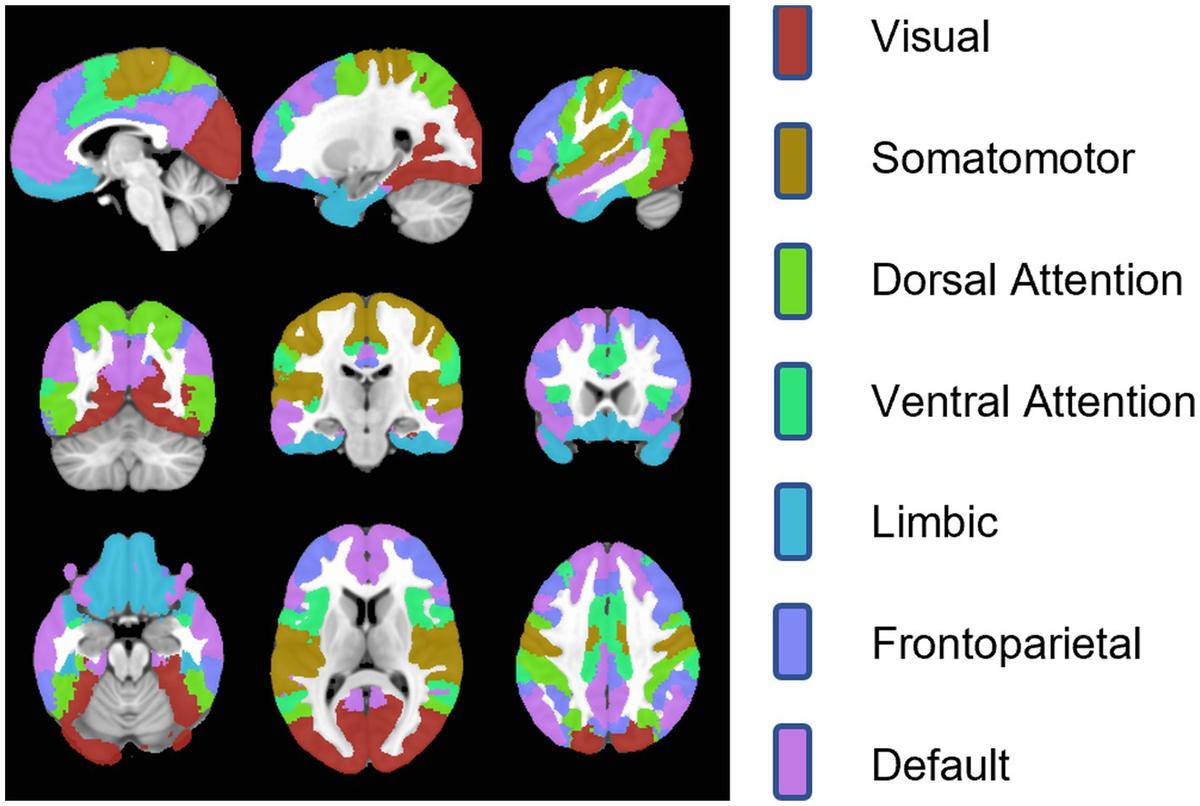 Frontiers | Self-supervised pretraining improves the performance of ...