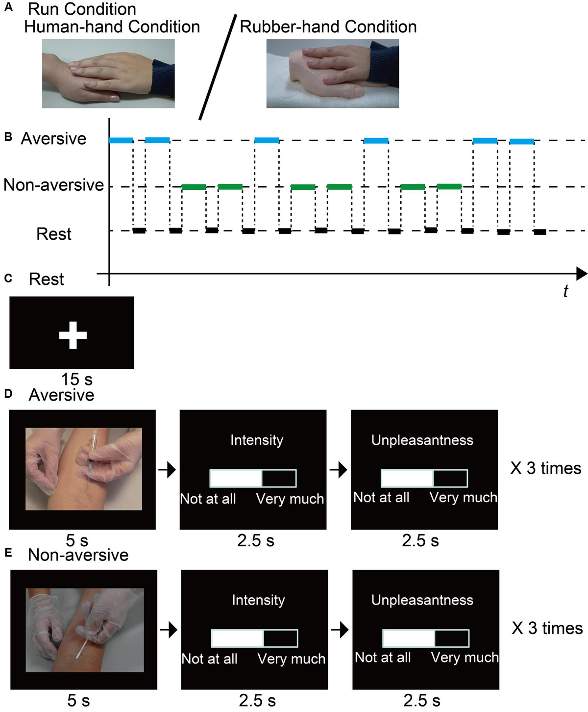 Frontiers | Interpersonal touch suppresses visual processing of ...