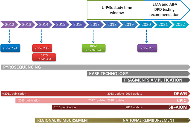 Frontiers | Ten-year experience with pharmacogenetic testing for DPYD ...