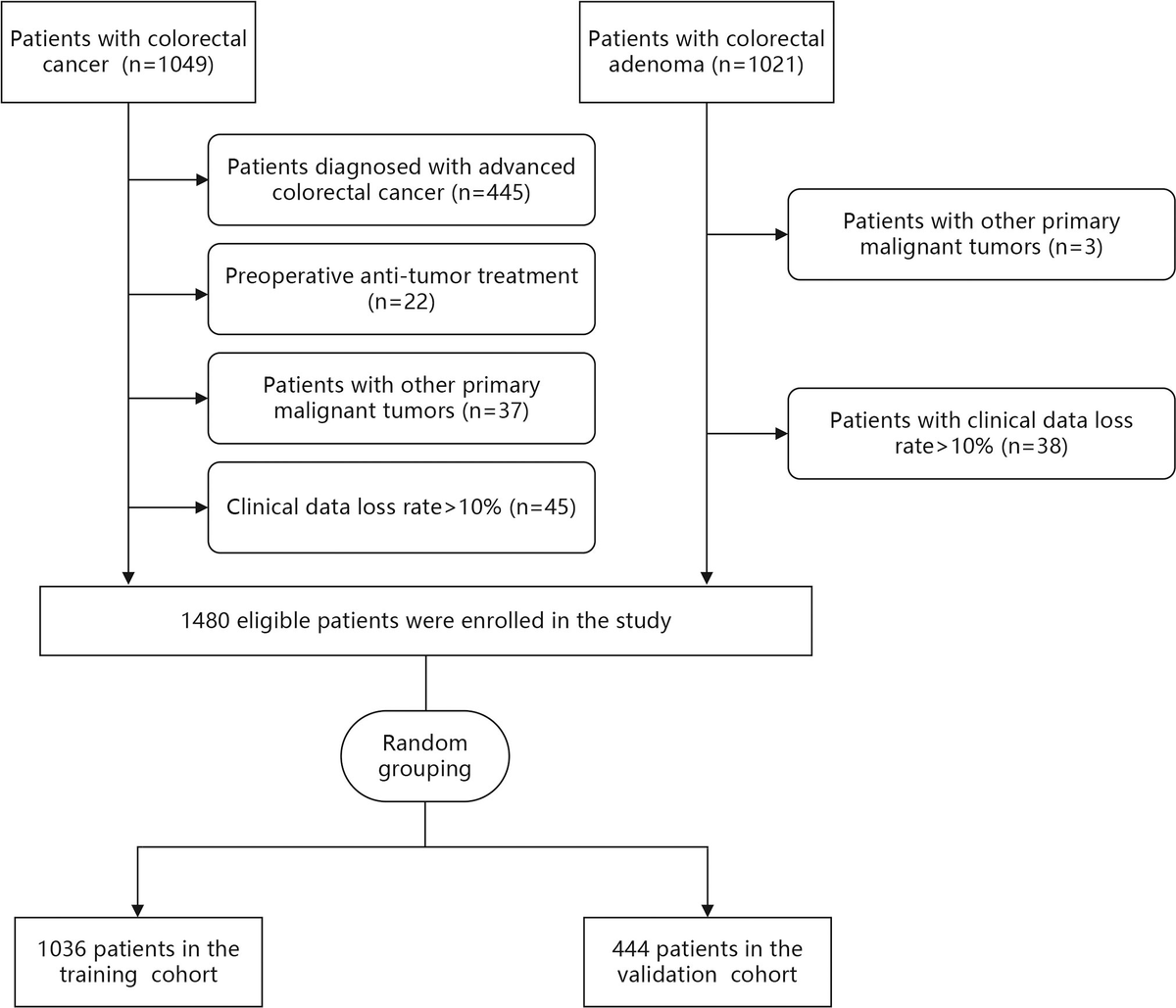 Frontiers | Development and validation of a web-based predictive model for preoperative ...