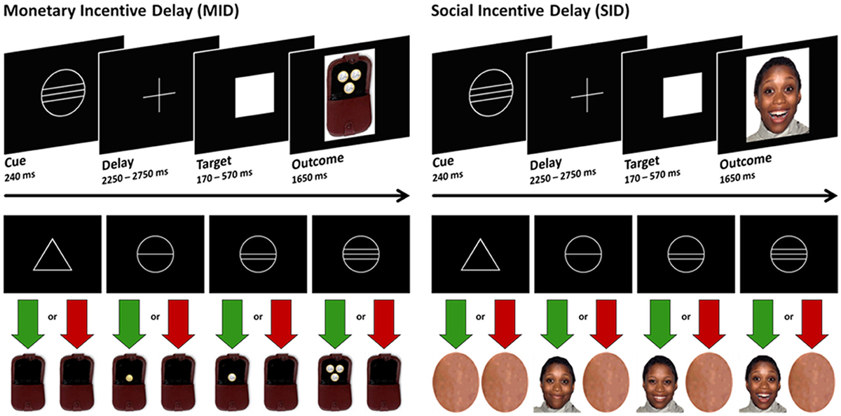 Frontiers | Functional connectivity in a monetary and social incentive ...