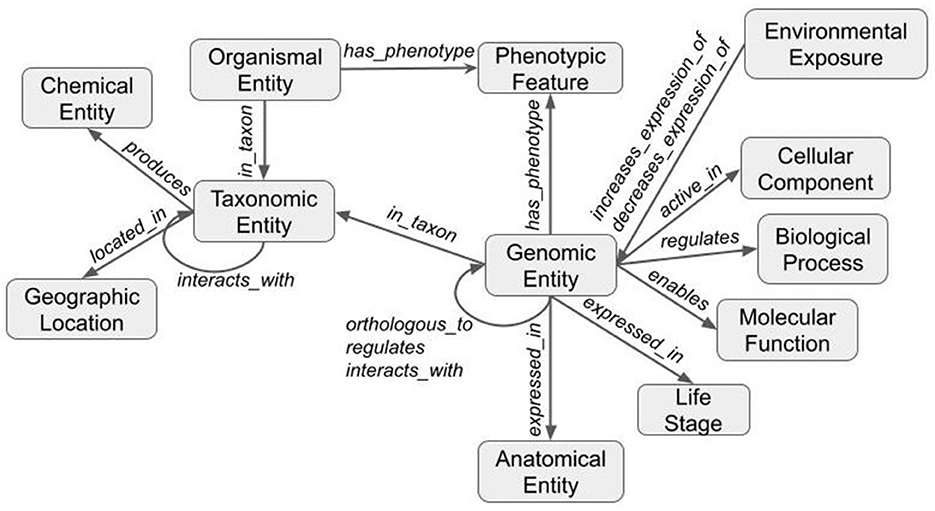 Frontiers | Using knowledge graphs to infer gene expression in plants