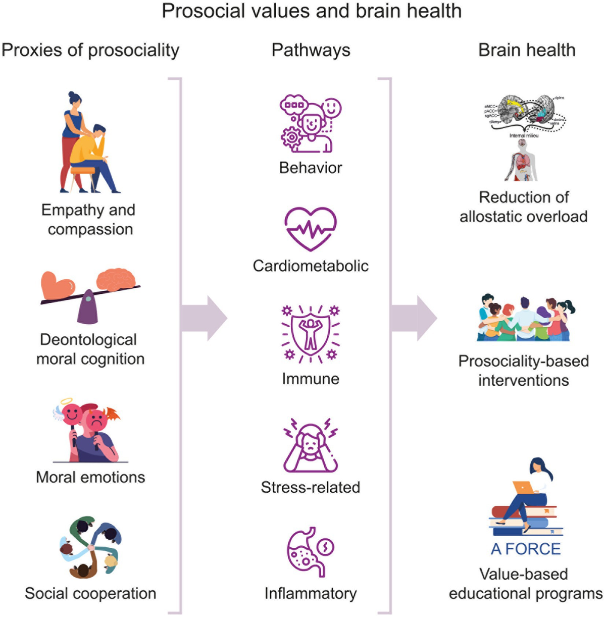 Frontiers | Can prosocial values improve brain health?