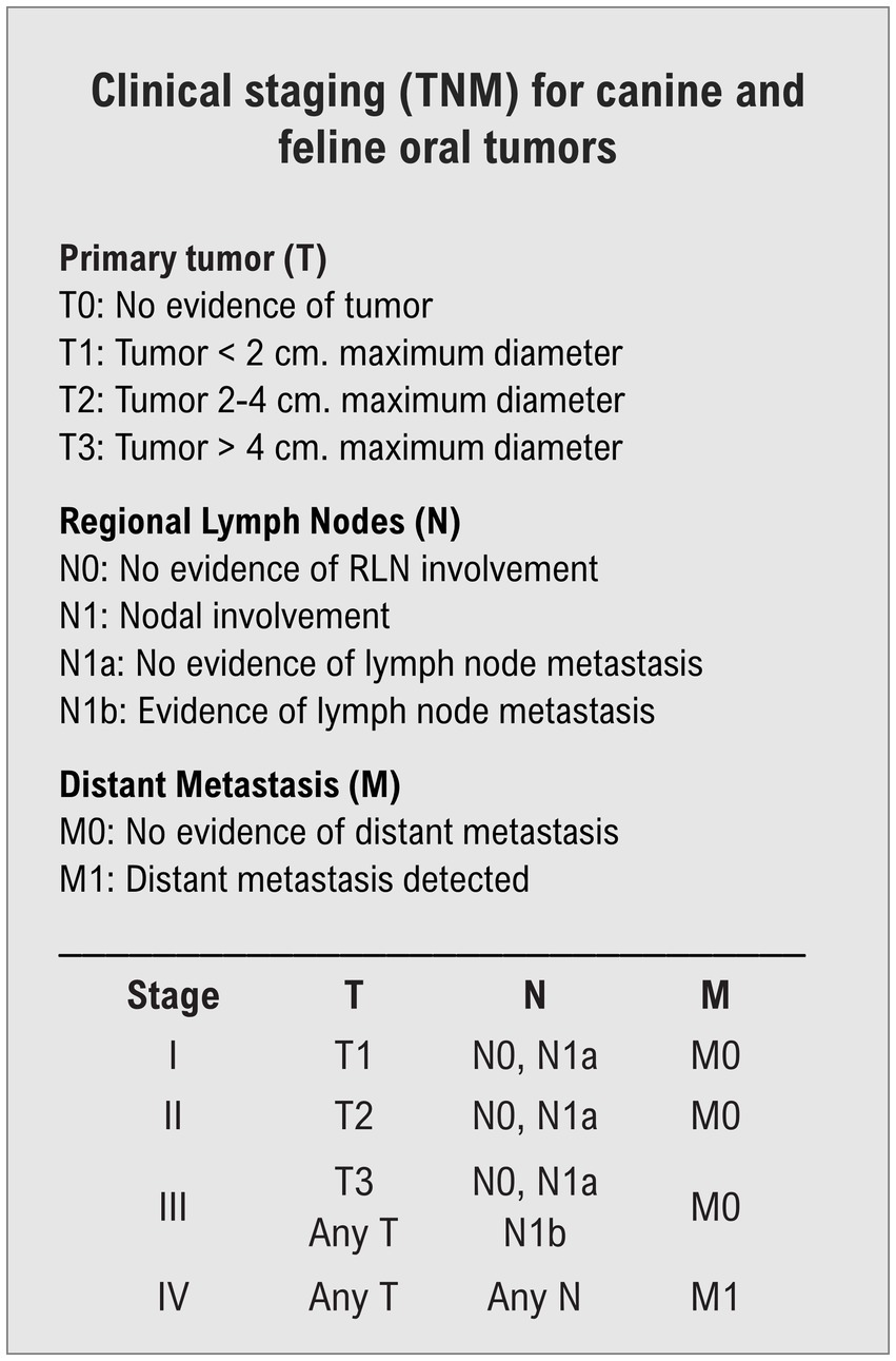 Frontiers | Canine salivary gland carcinoma treated with stereotactic ...