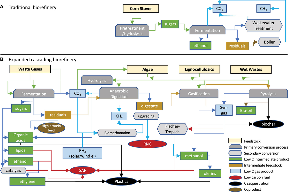 Frontiers | Perspectives on biorefineries in microbial production of ...