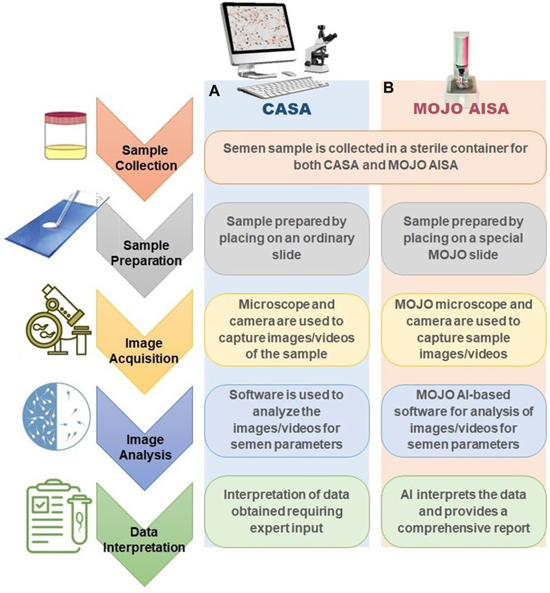 Frontiers | Revolutionizing semen analysis: introducing Mojo AISA, the next-gen artificial ...