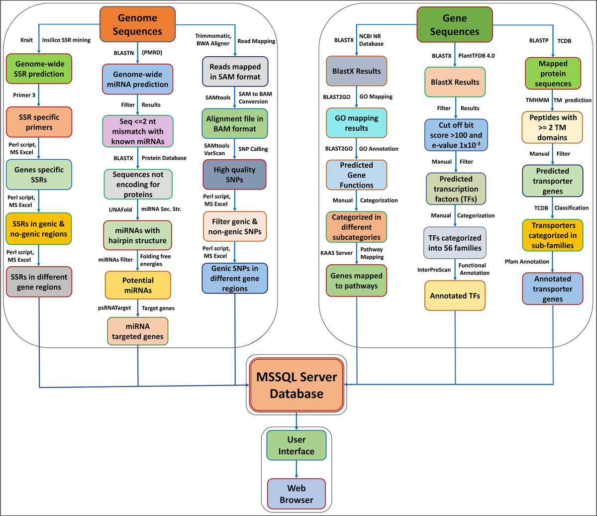 Frontiers | Amaranth Genomic Resource Database: an integrated database ...