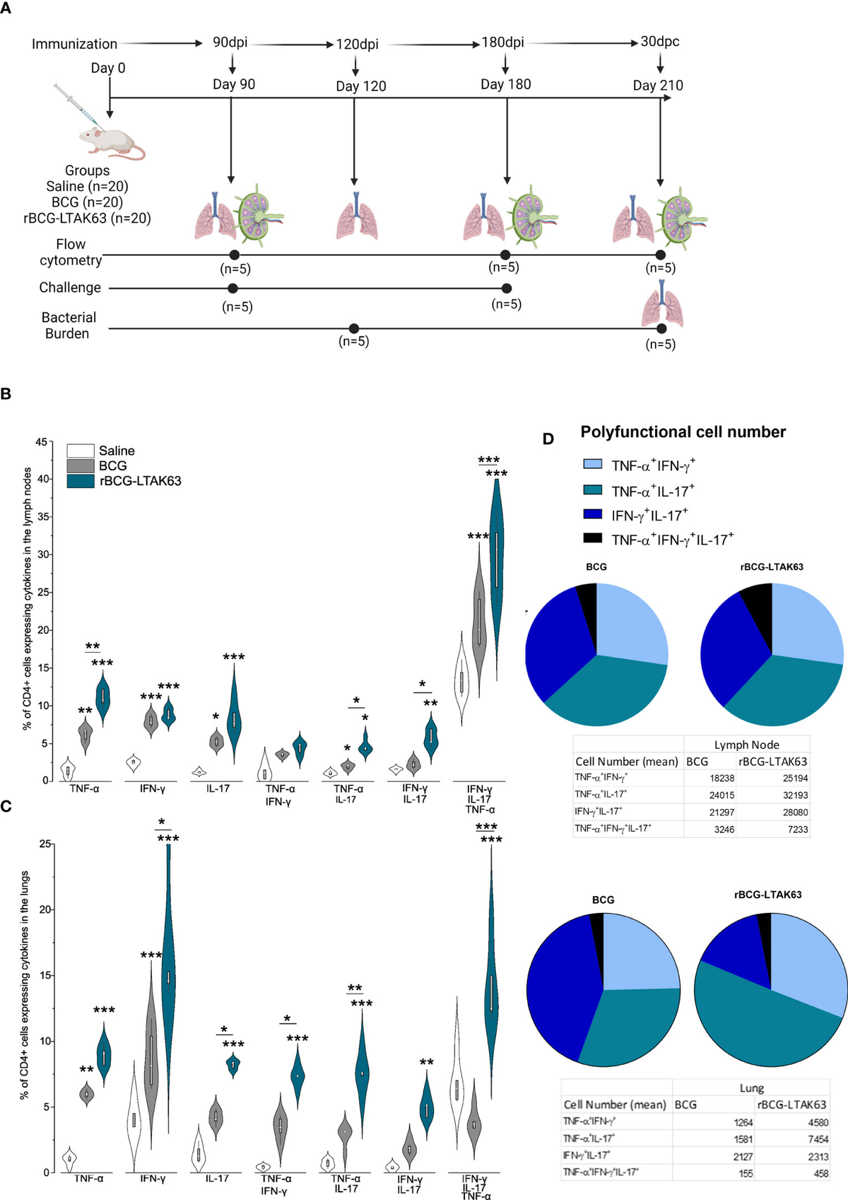 Frontiers | Recombinant BCG expressing the LTAK63 adjuvant increased ...