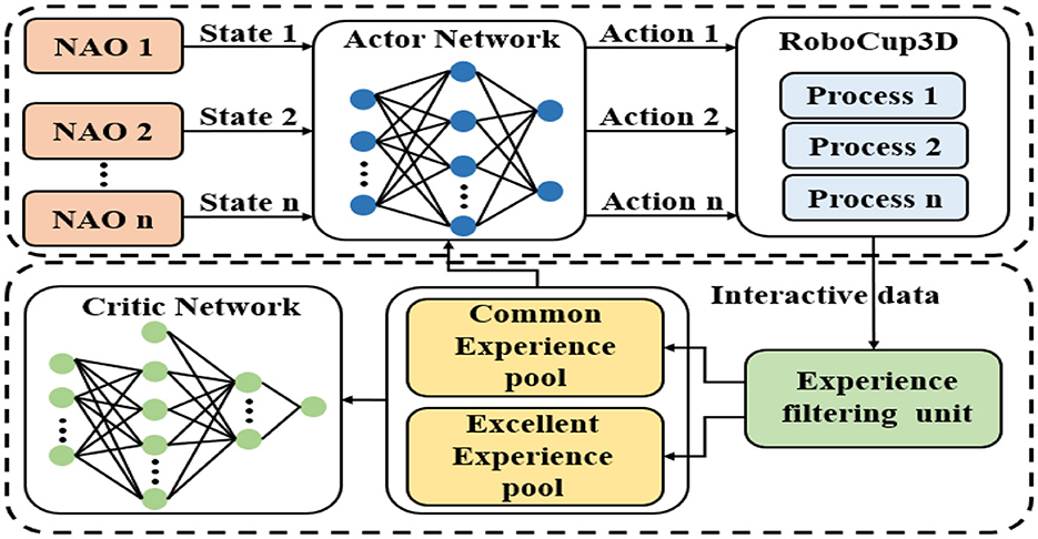 Frontiers A Parallel Heterogeneous Policy Deep Reinforcement Learning Algorithm For Bipedal