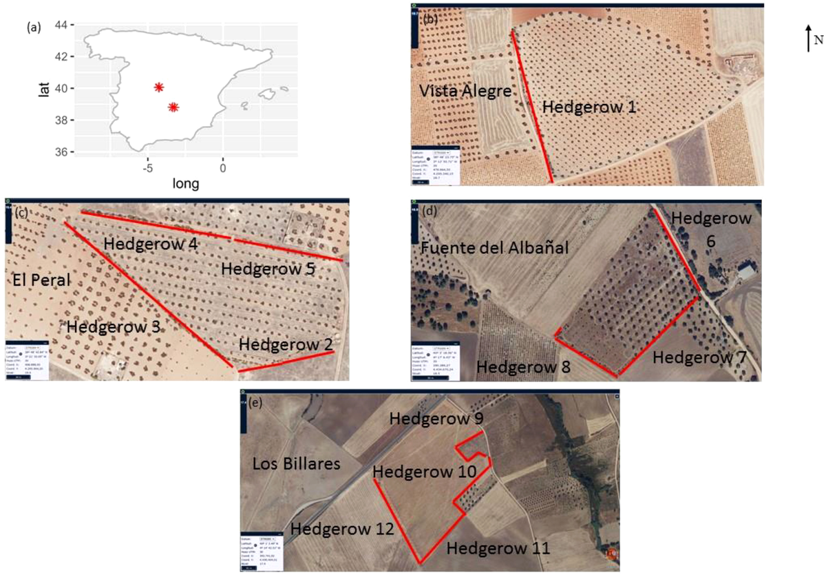 Frontiers | Assessing the limiting factors of natural regeneration in ...