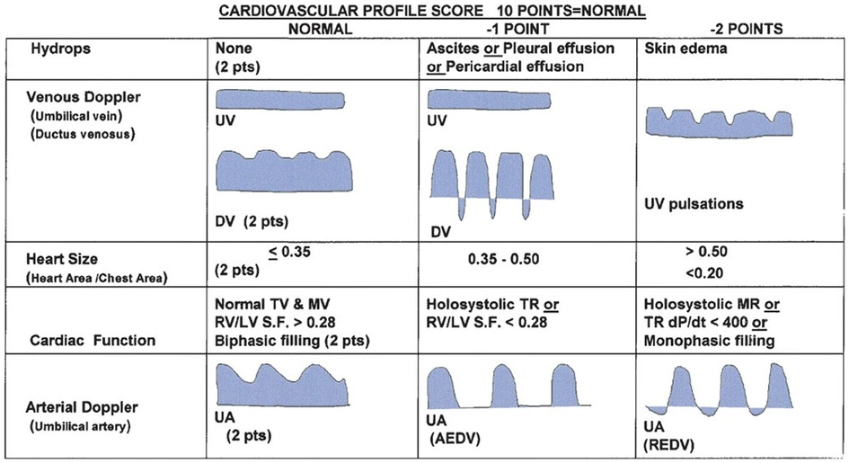 Frontiers | Advanced imaging of fetal cardiac function