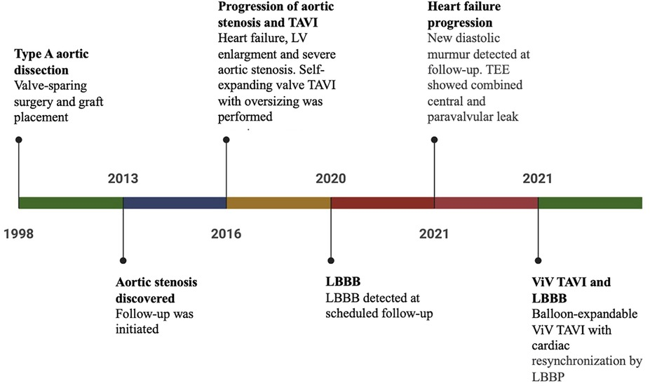Frontiers | Case report: A complex case of valve-in-valve TAVI and left ...