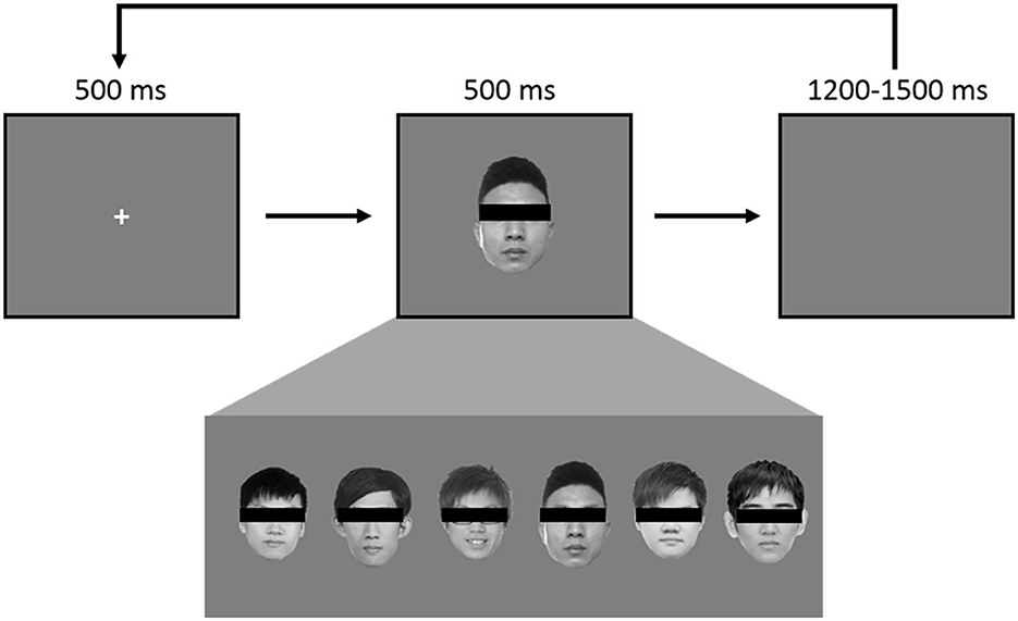 Frontiers | Functional blindsight and its diagnosis