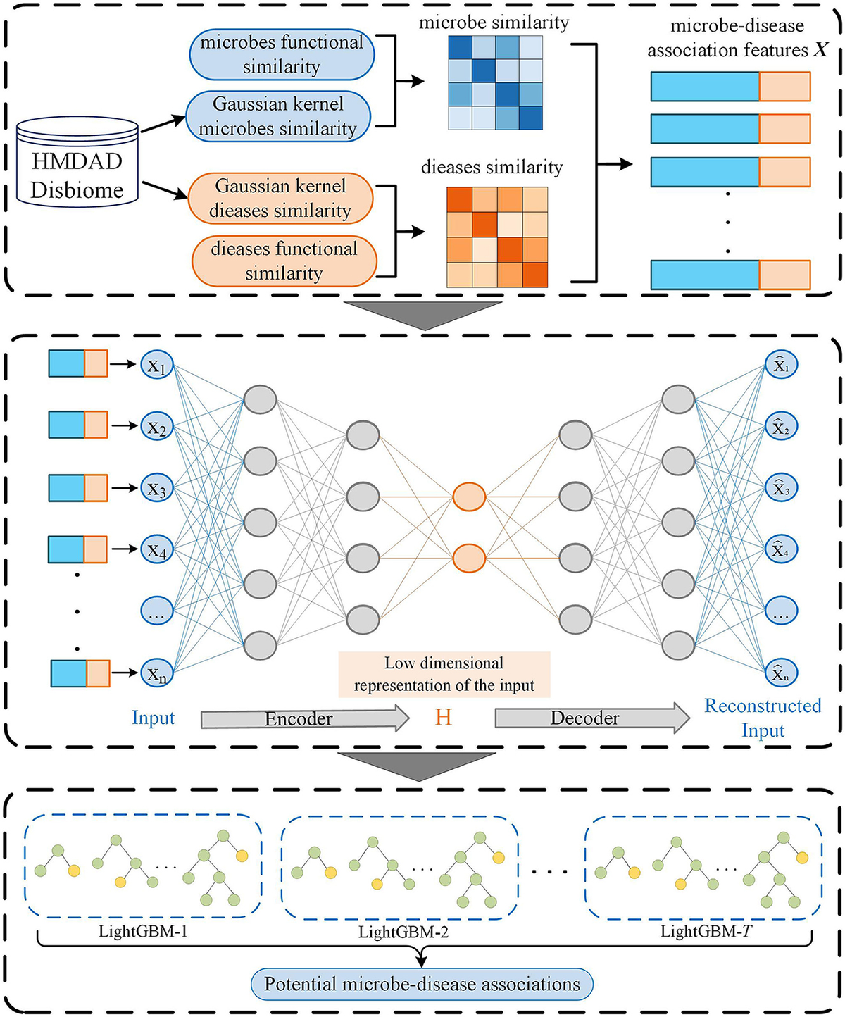 Frontiers | SAELGMDA: Identifying human microbe–disease associations ...