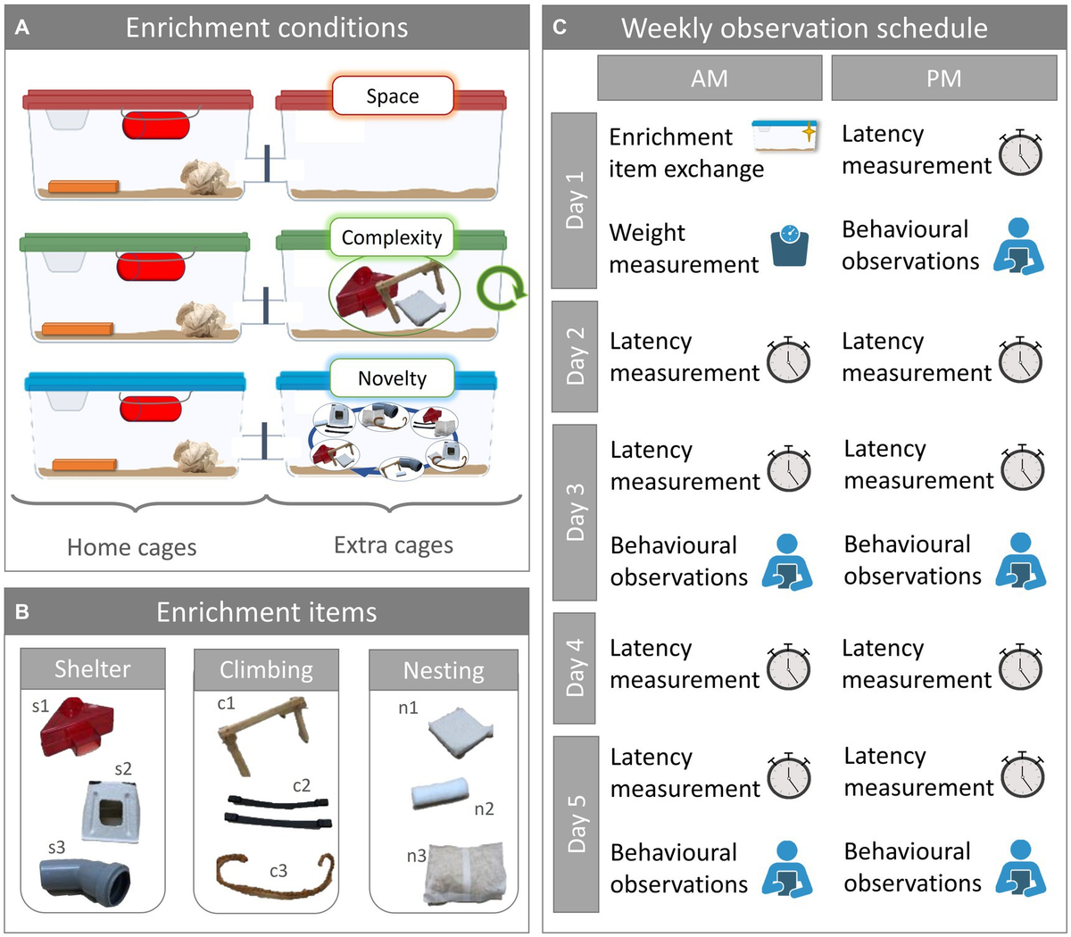 Frontiers | Structural enrichment for laboratory mice: exploring the ...