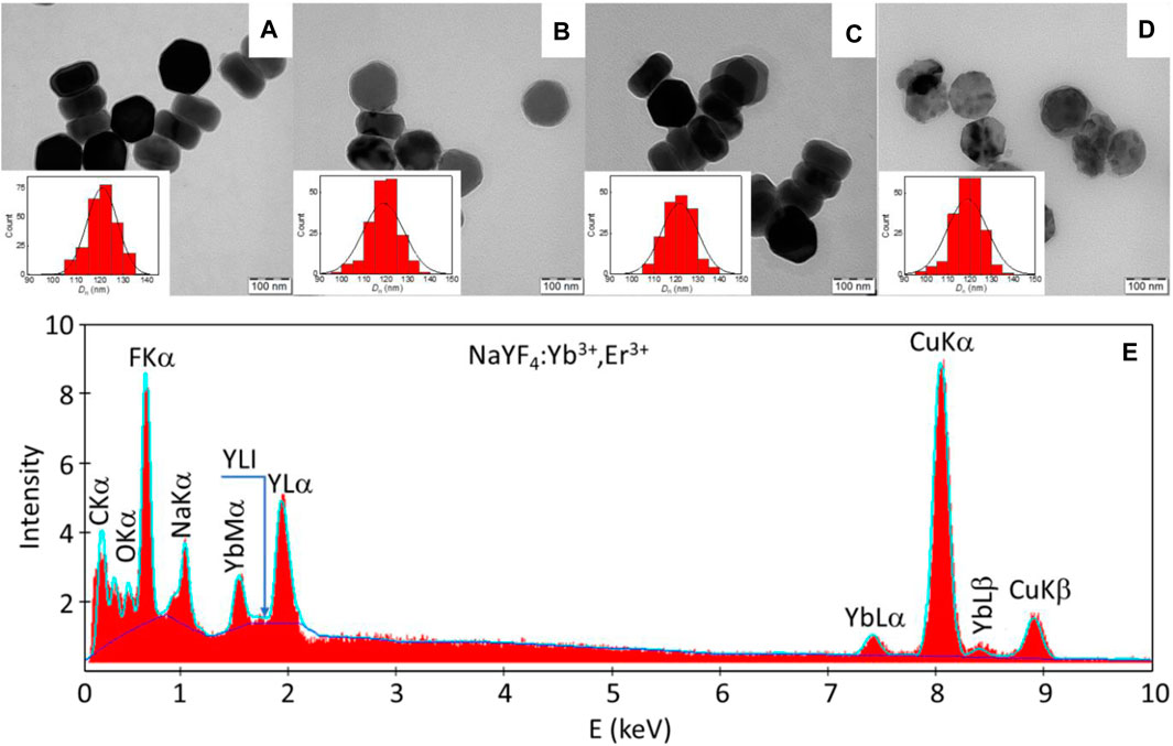 Frontiers | Polymer-coated hexagonal upconverting nanoparticles ...