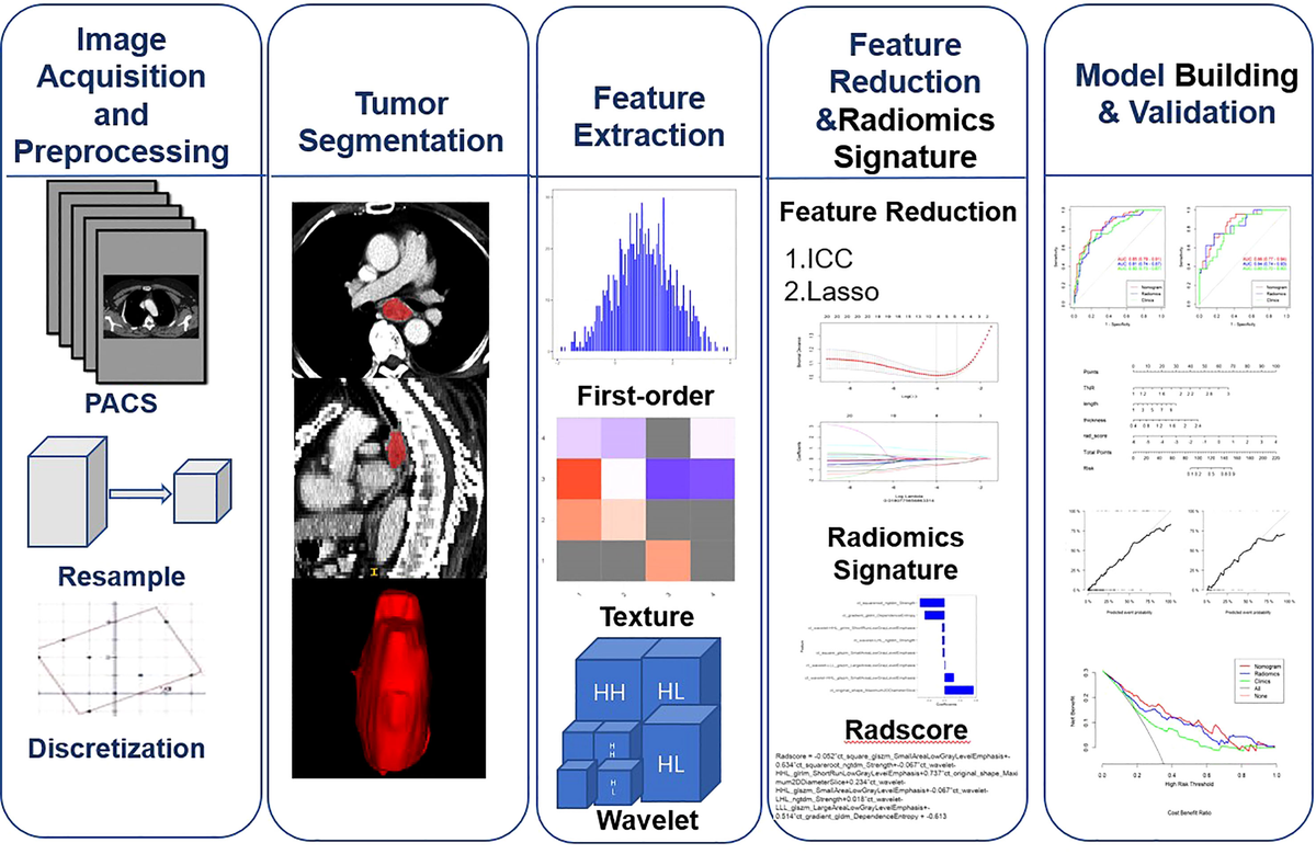 Frontiers | A radiomics nomogram based on contrast-enhanced CT for preoperative prediction of ...