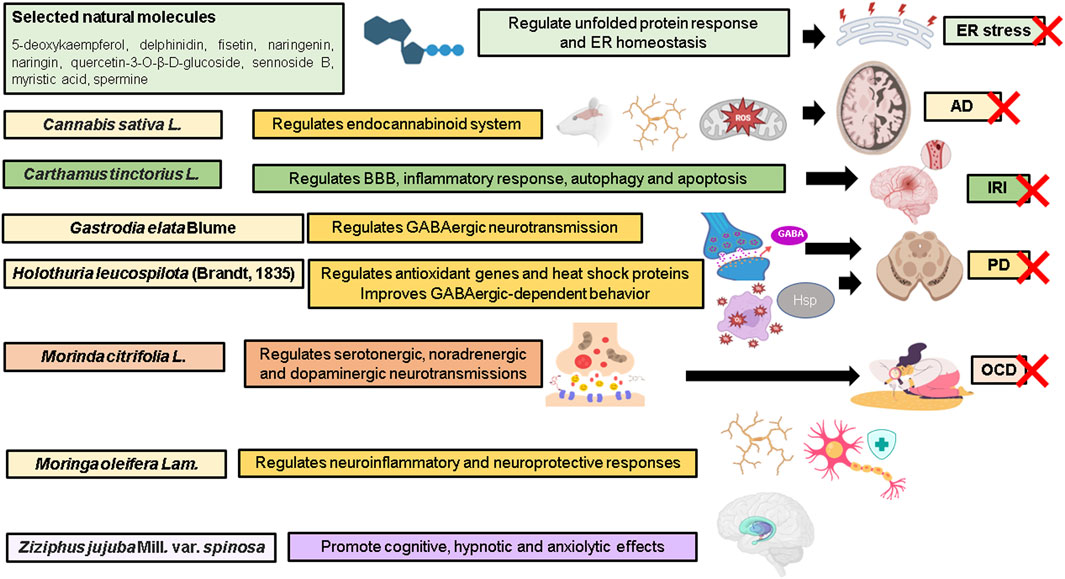 Frontiers | Editorial: Natural products for neuroprotection and ...