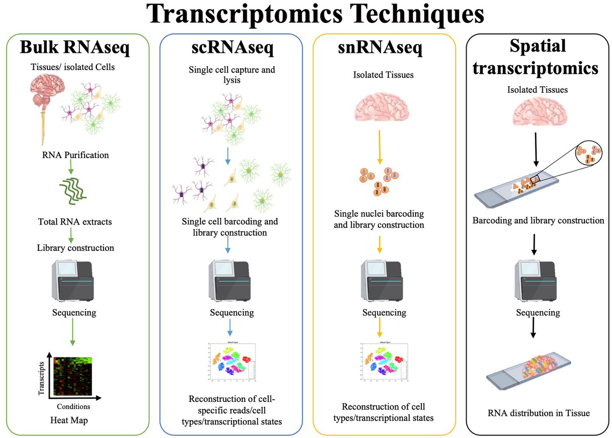 Frontiers | Publicly available ex vivo transcriptomics datasets to explore CNS physiology and ...