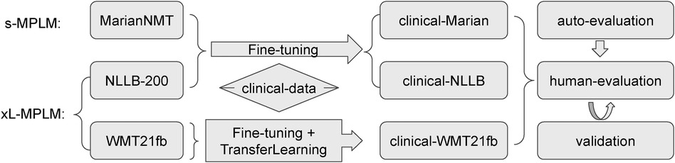 Frontiers | Neural machine translation of clinical text: an empirical ...