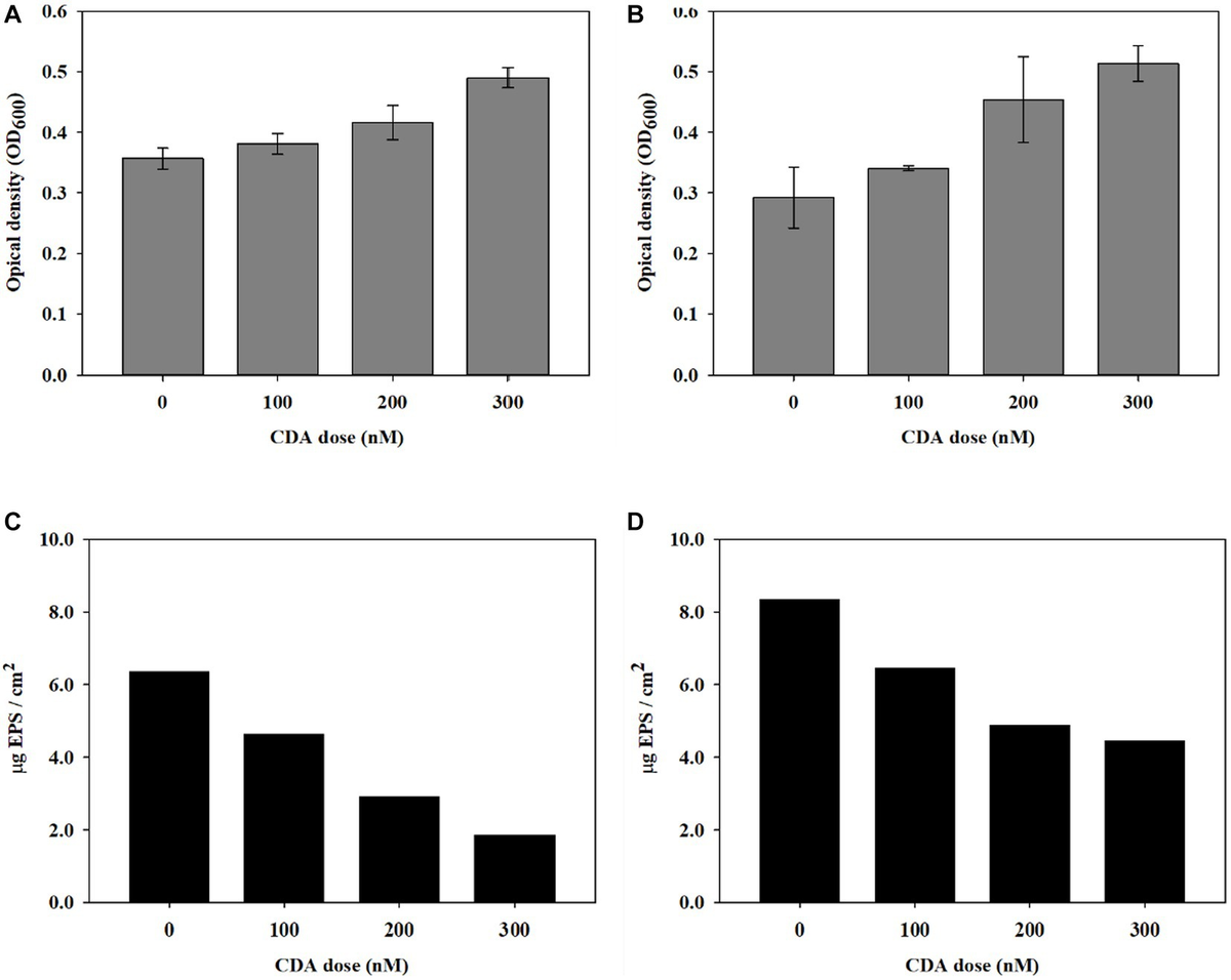 Frontiers | Dispersive biofilm from membrane bioreactor strains ...