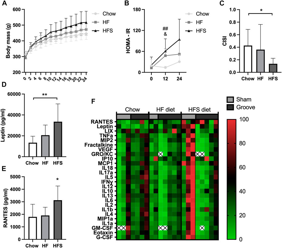 Frontiers | Effects of different obesogenic diets on joint integrity ...