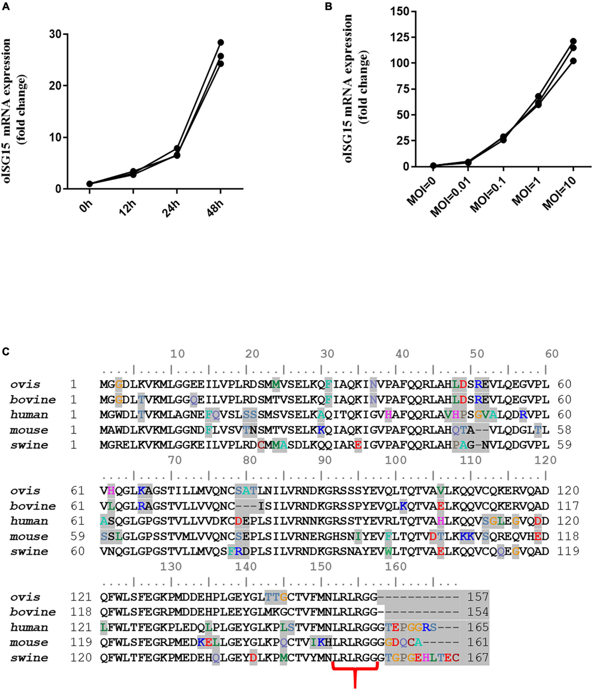 Frontiers | Interferon-stimulated gene 15 facilitates BTV replication ...