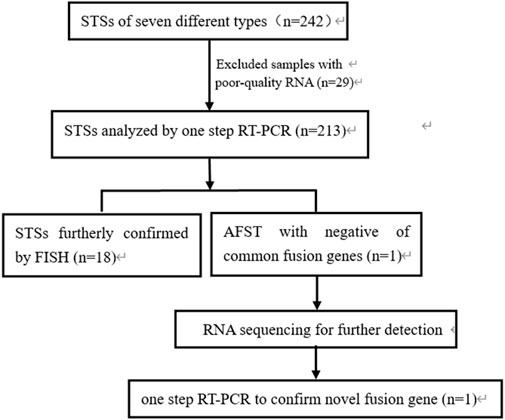 Frontiers | Detection of various fusion genes by one-step RT-PCR and ...