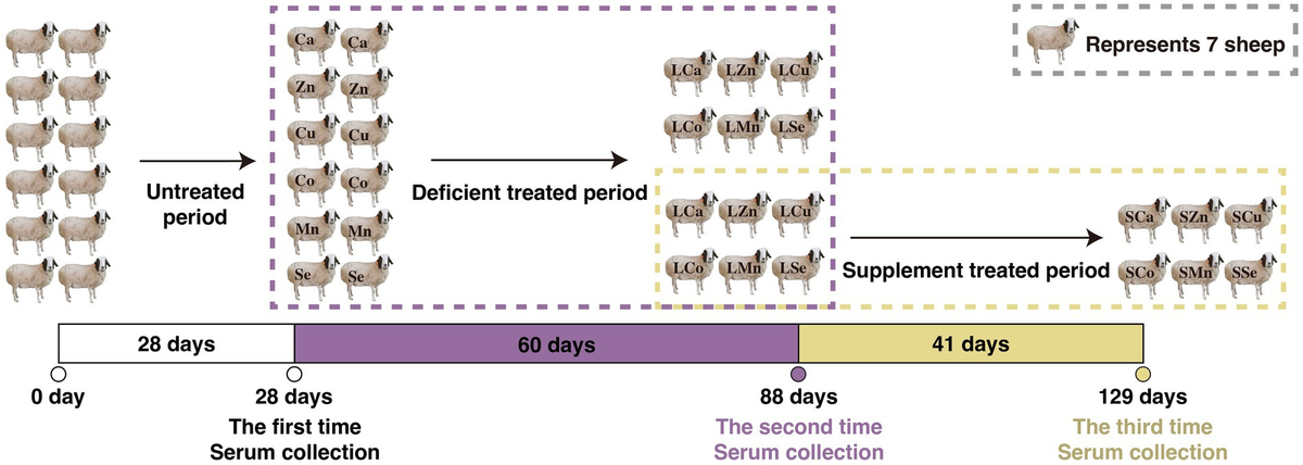 Frontiers | Effects of essential mineral elements deficiency and ...