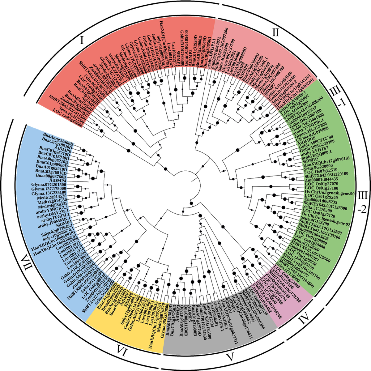 Frontiers | Genome-wide characterization of the soybean DOMAIN OF ...