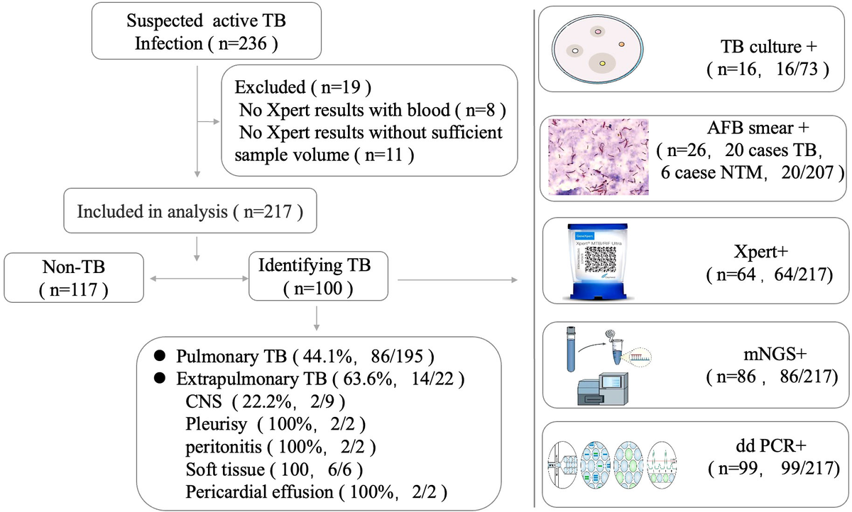 Frontiers | ddPCR provides a sensitive test compared with GeneXpert MTB ...