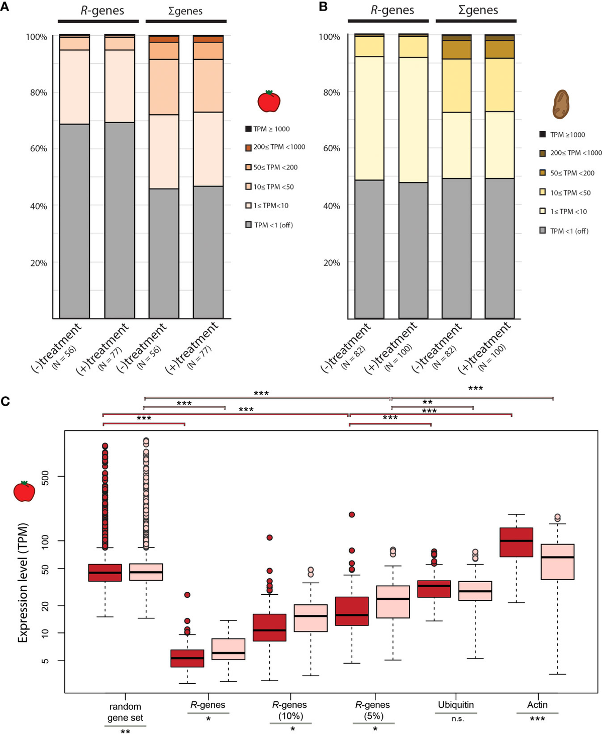 Frontiers | Global expression patterns of R-genes in tomato and potato