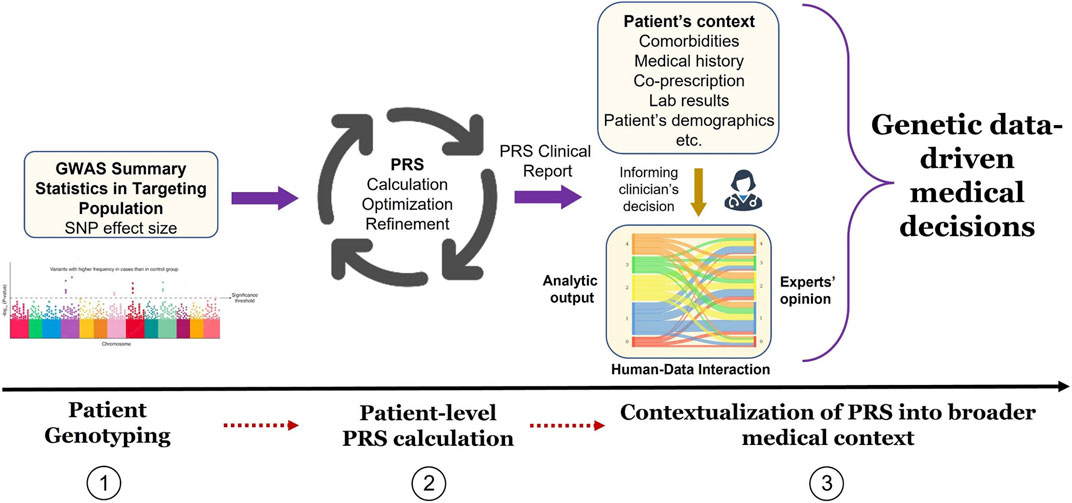 Frontiers | Polygenic risk scores in pharmacogenomics: opportunities ...