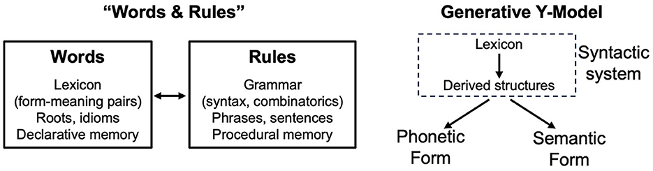 Frontiers | Lexico-semantics obscures lexical syntax