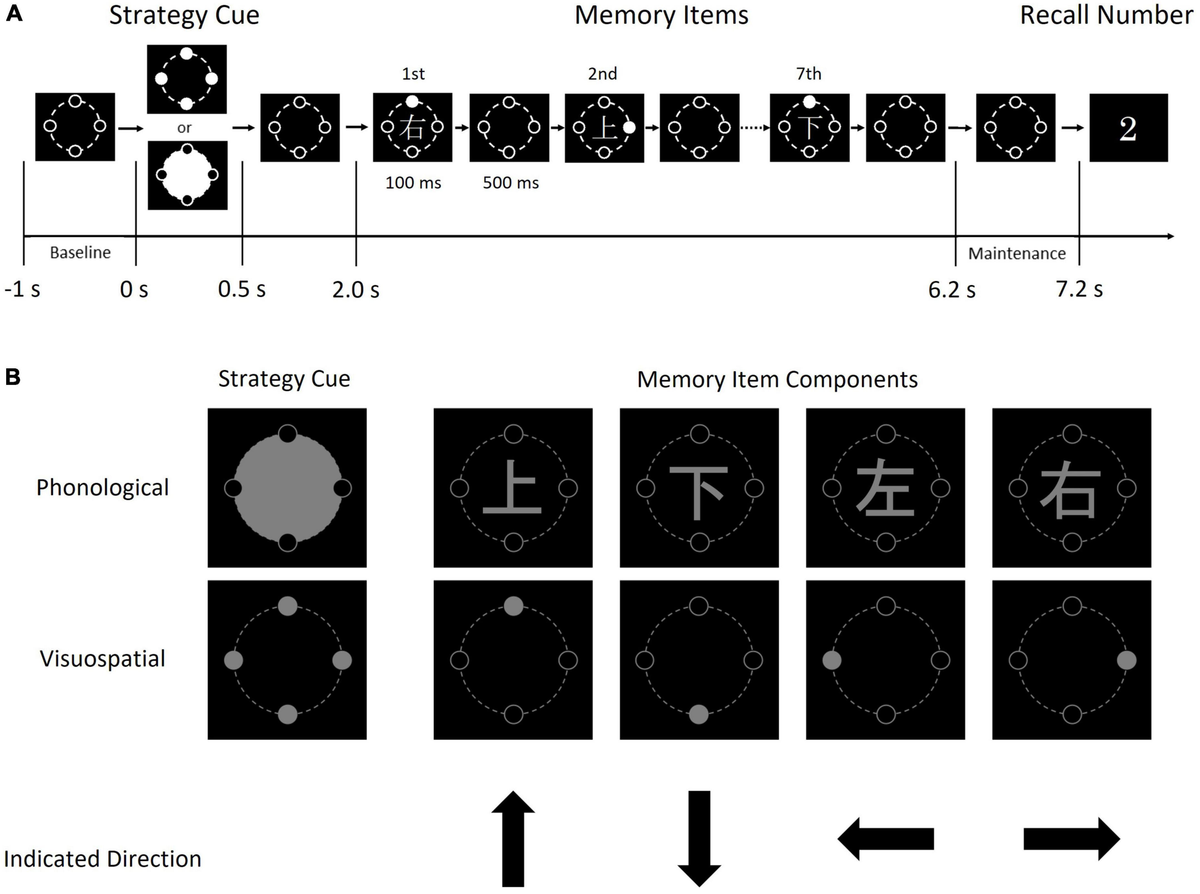Frontiers | Differential working memory function between phonological ...