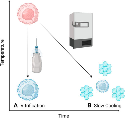 Frontiers | Applying soft matter techniques to solve challenges in ...