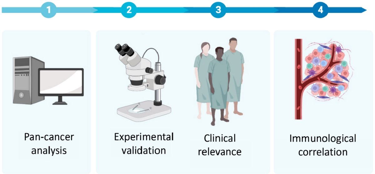 Frontiers | GLS as a diagnostic biomarker in breast cancer: in-silico ...