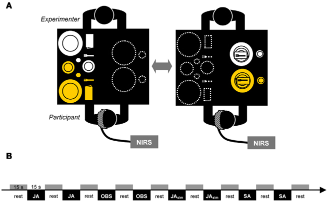 Frontiers | Exploring the Neural Basis of Real-Life Joint Action ...