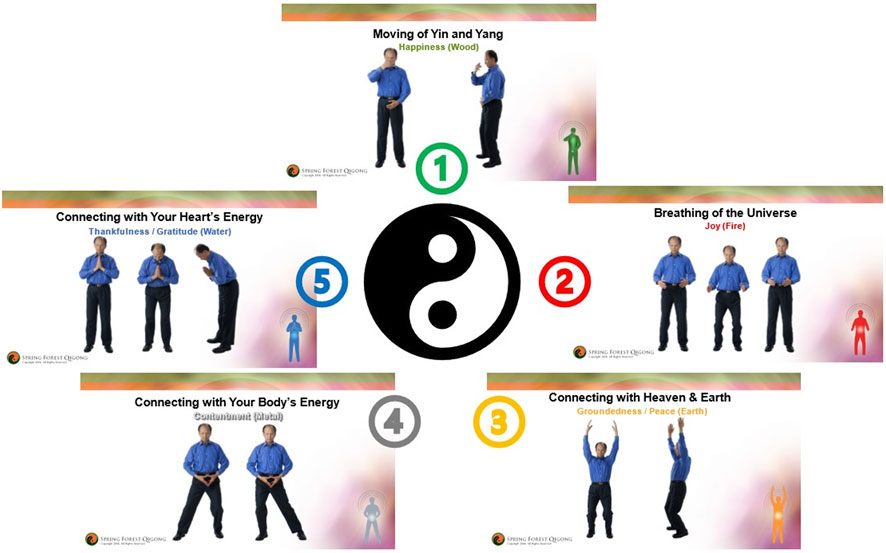 Frontiers | Feasibility of using remotely delivered Spring Forest ...