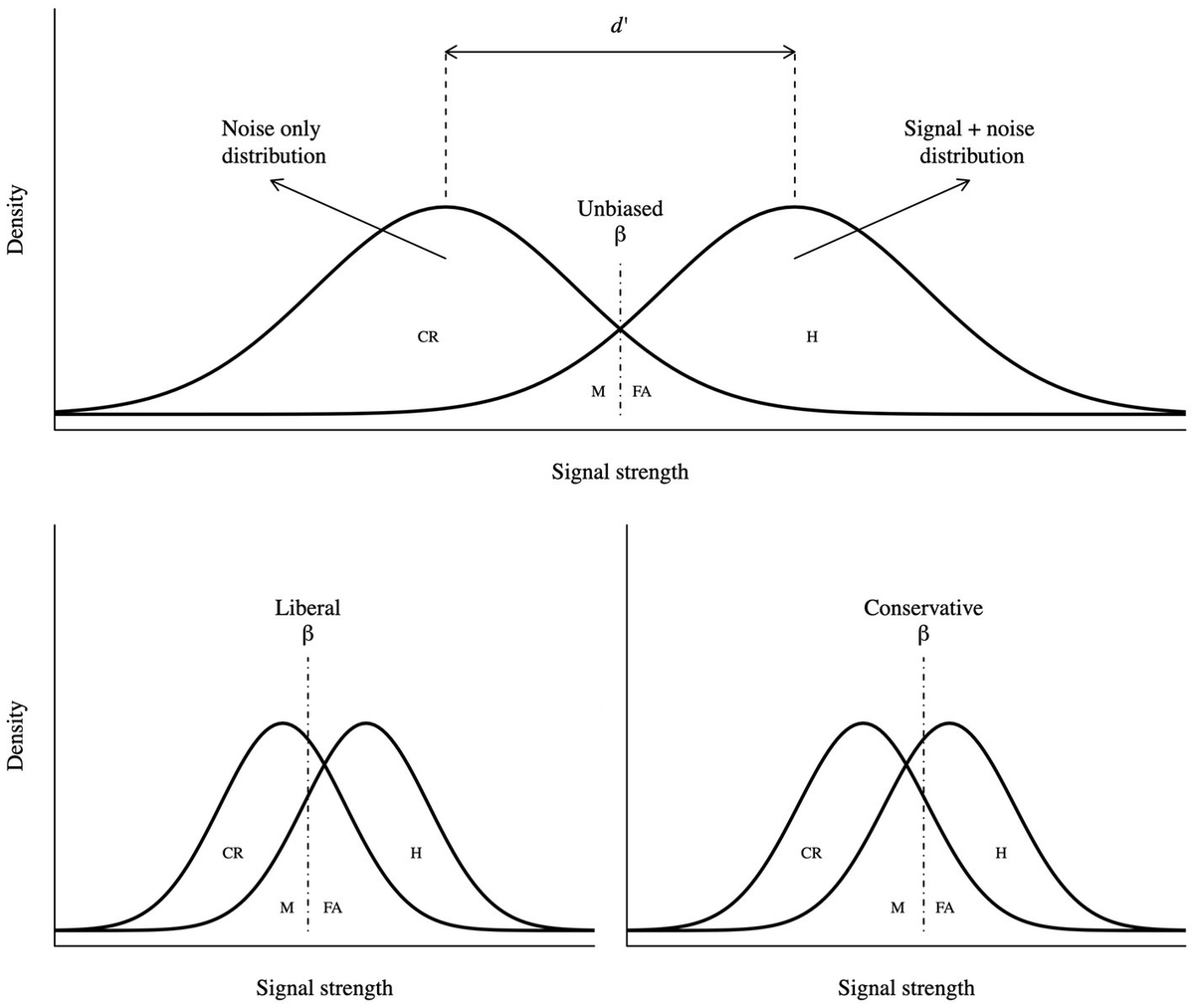 Frontiers | Modelling decision-making biases