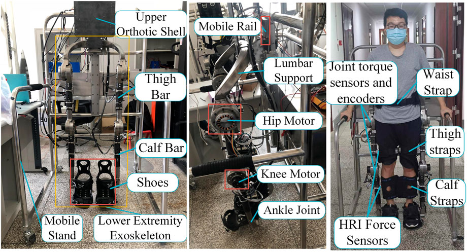 Frontiers | Autonomous motion and control of lower limb exoskeleton rehabilitation robot