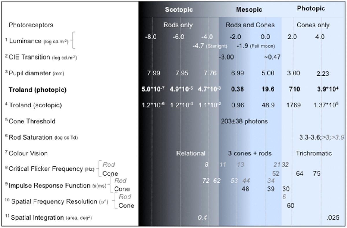 Frontiers | Vision under mesopic and scotopic illumination