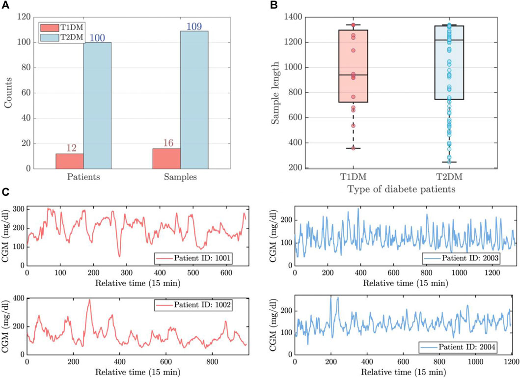 Frontiers | Heterogeneous temporal representation for diabetic blood ...
