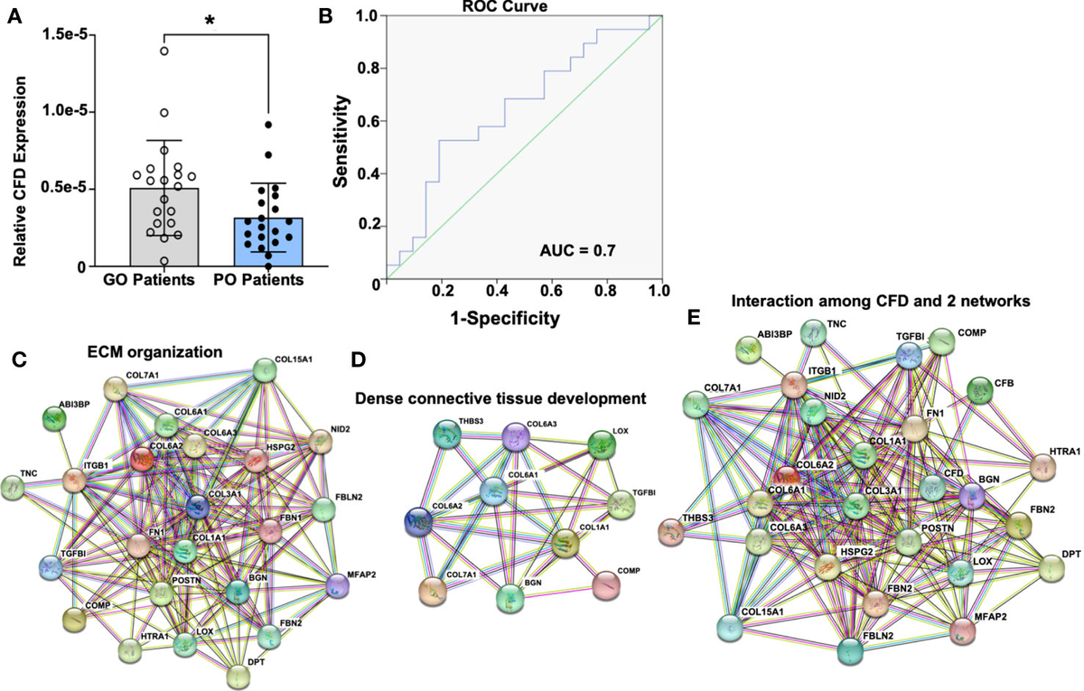 Frontiers | Complement factor D regulates collagen type I expression ...