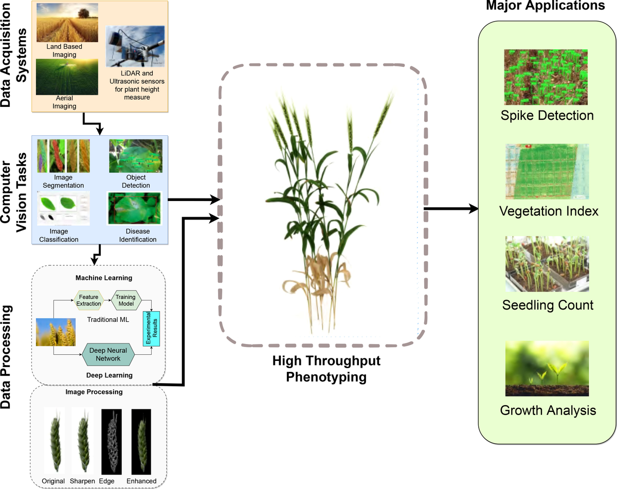 Frontiers | WheatSpikeNet: an improved wheat spike segmentation model for accurate estimation ...