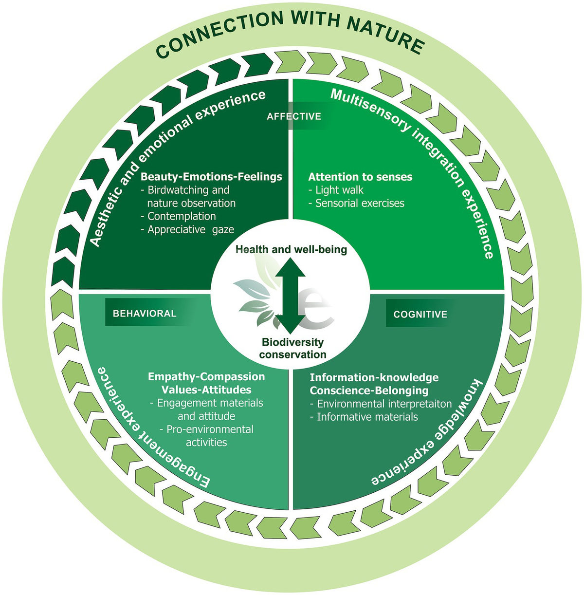 Frontiers | A time with e-Natureza (e-Nature): a model of nature-based ...