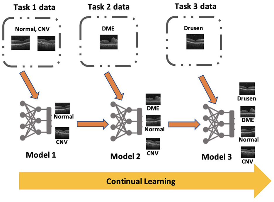 Frontiers | Privacy-preserving continual learning methods for medical image classification: a ...